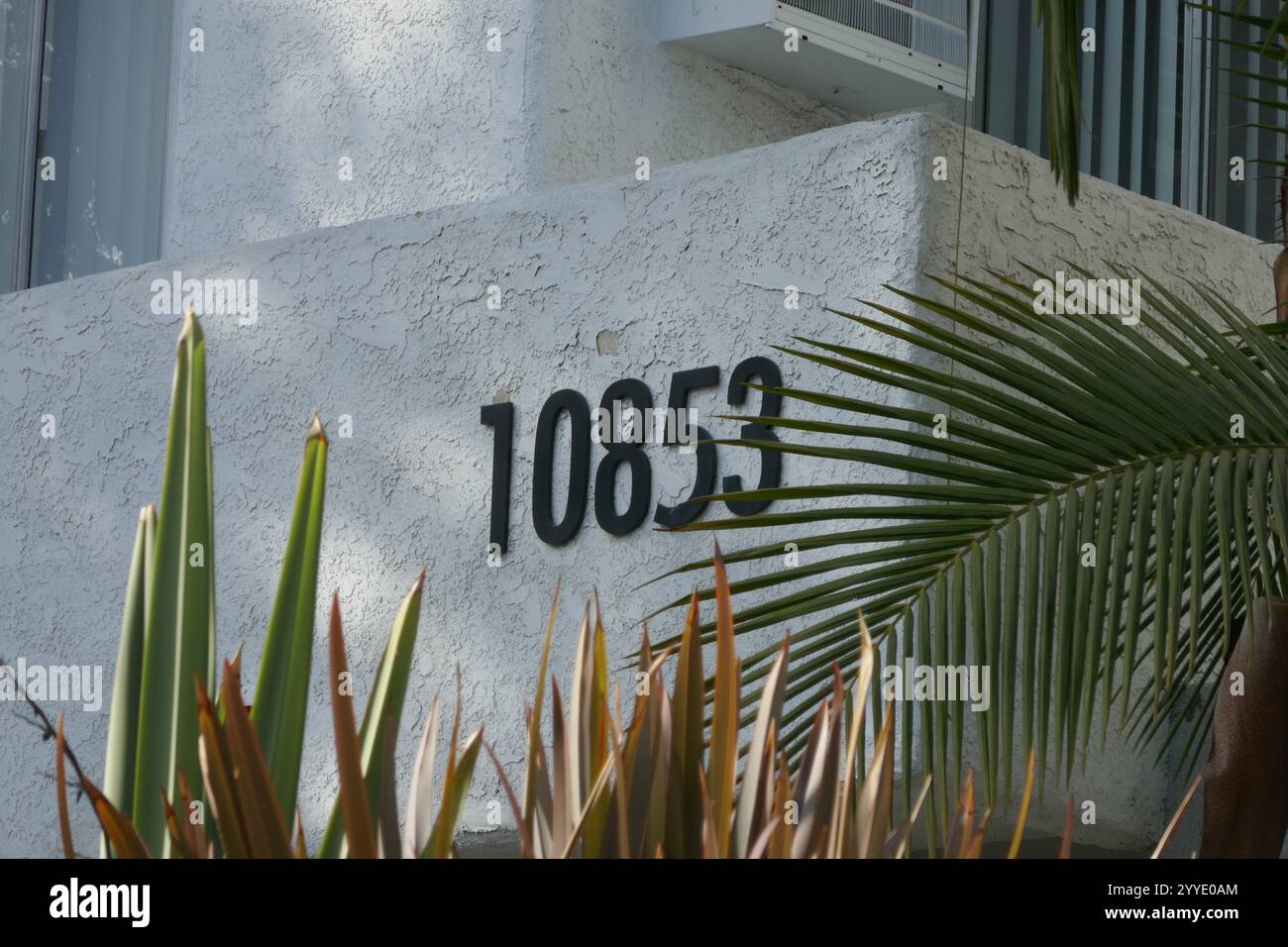 Los Angeles, California, USA 20th December 2024 Voice Actress Mary Kay ...