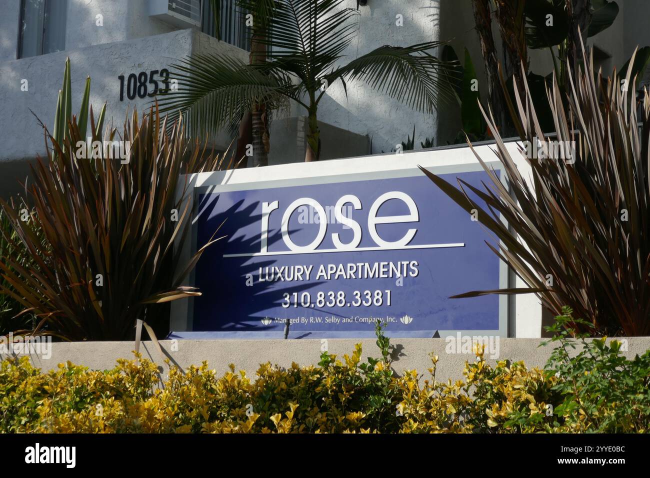 Los Angeles, California, USA 20th December 2024 Voice Actress Mary Kay ...