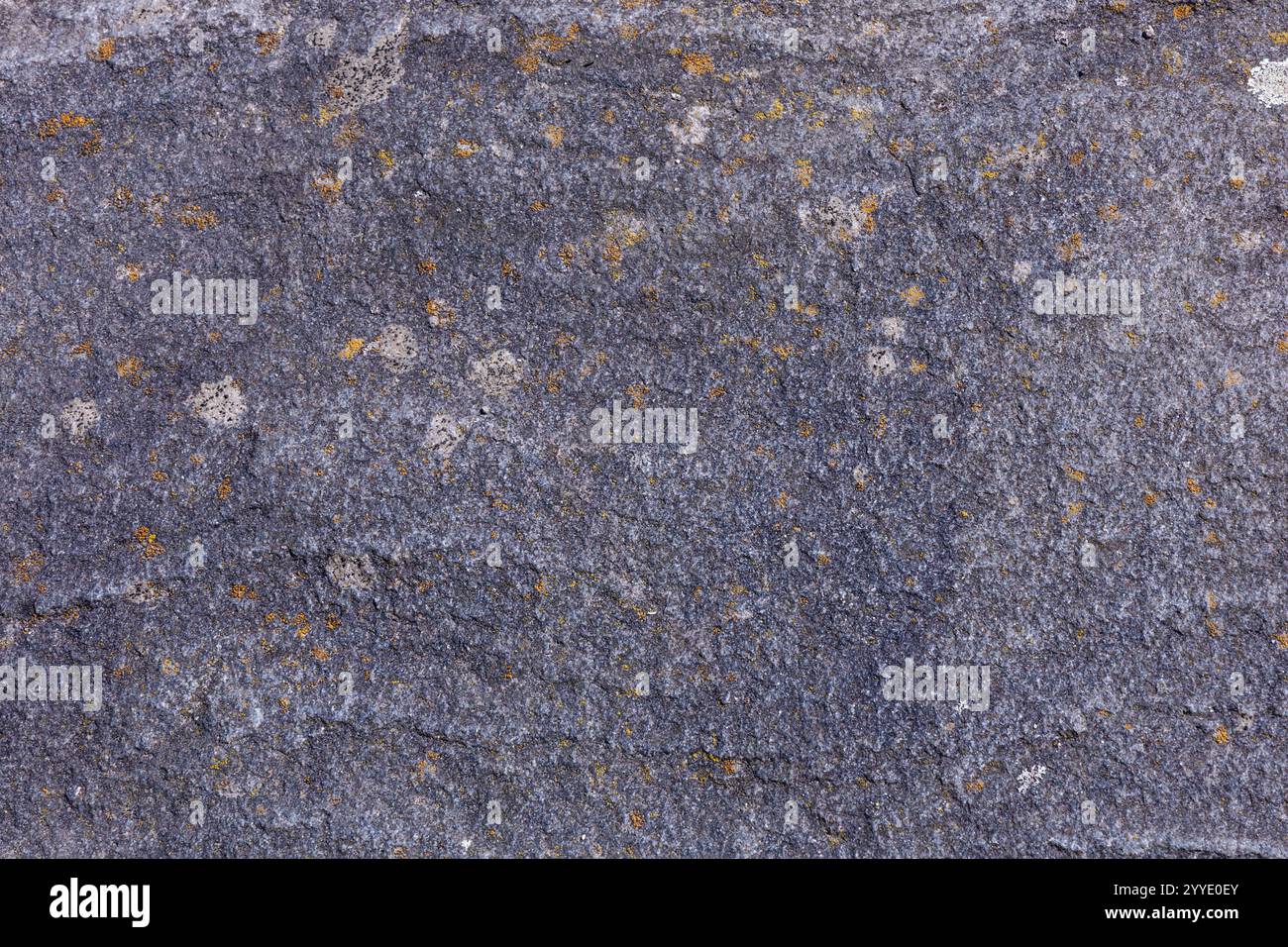 Showcases various details hi-res stock photography and images - Alamy