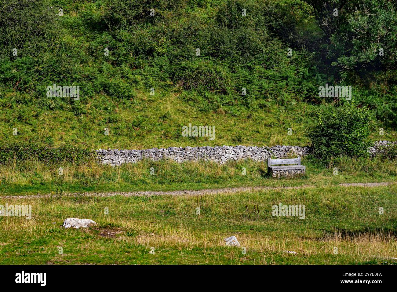 Black cheddar hi-res stock photography and images - Alamy