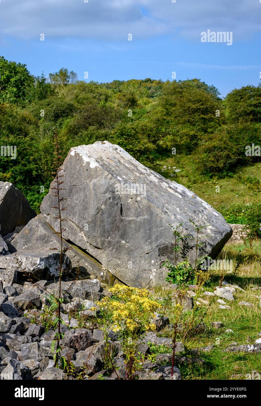 Old limestone quarry hi-res stock photography and images - Alamy