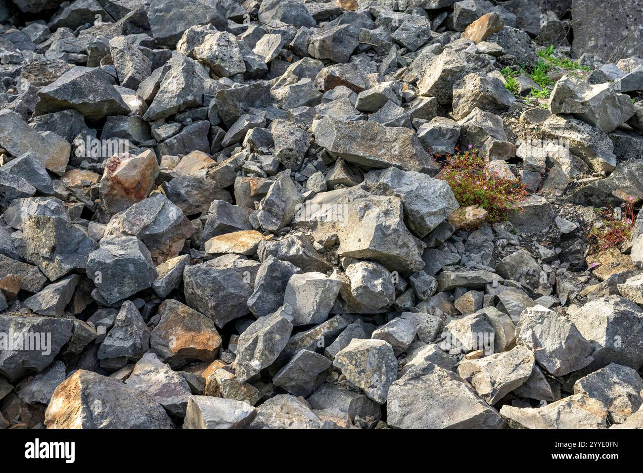Rocks and boulders at the bottom of the cliifs at Black Rock Quarry at ...