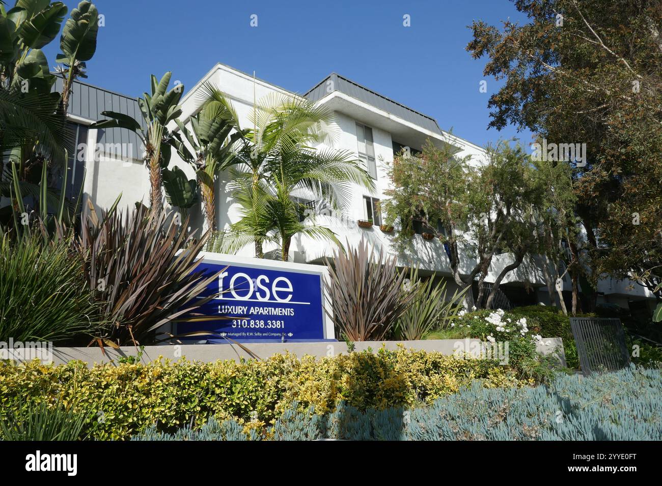 Los Angeles, California, USA 20th December 2024 Voice Actress Mary Kay ...