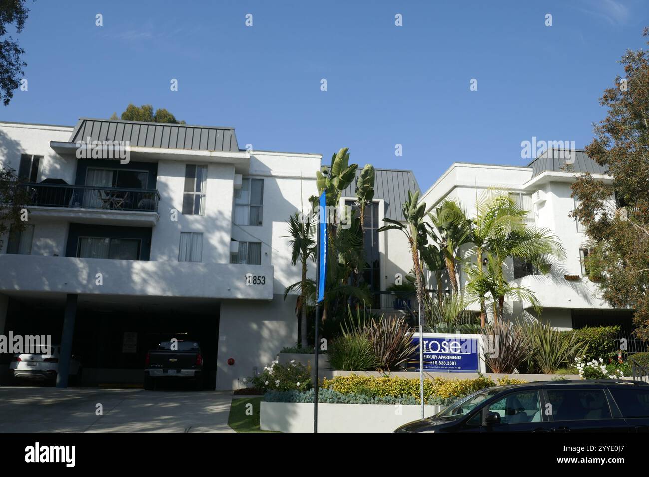 Los Angeles, California, USA 20th December 2024 Voice Actress Mary Kay ...