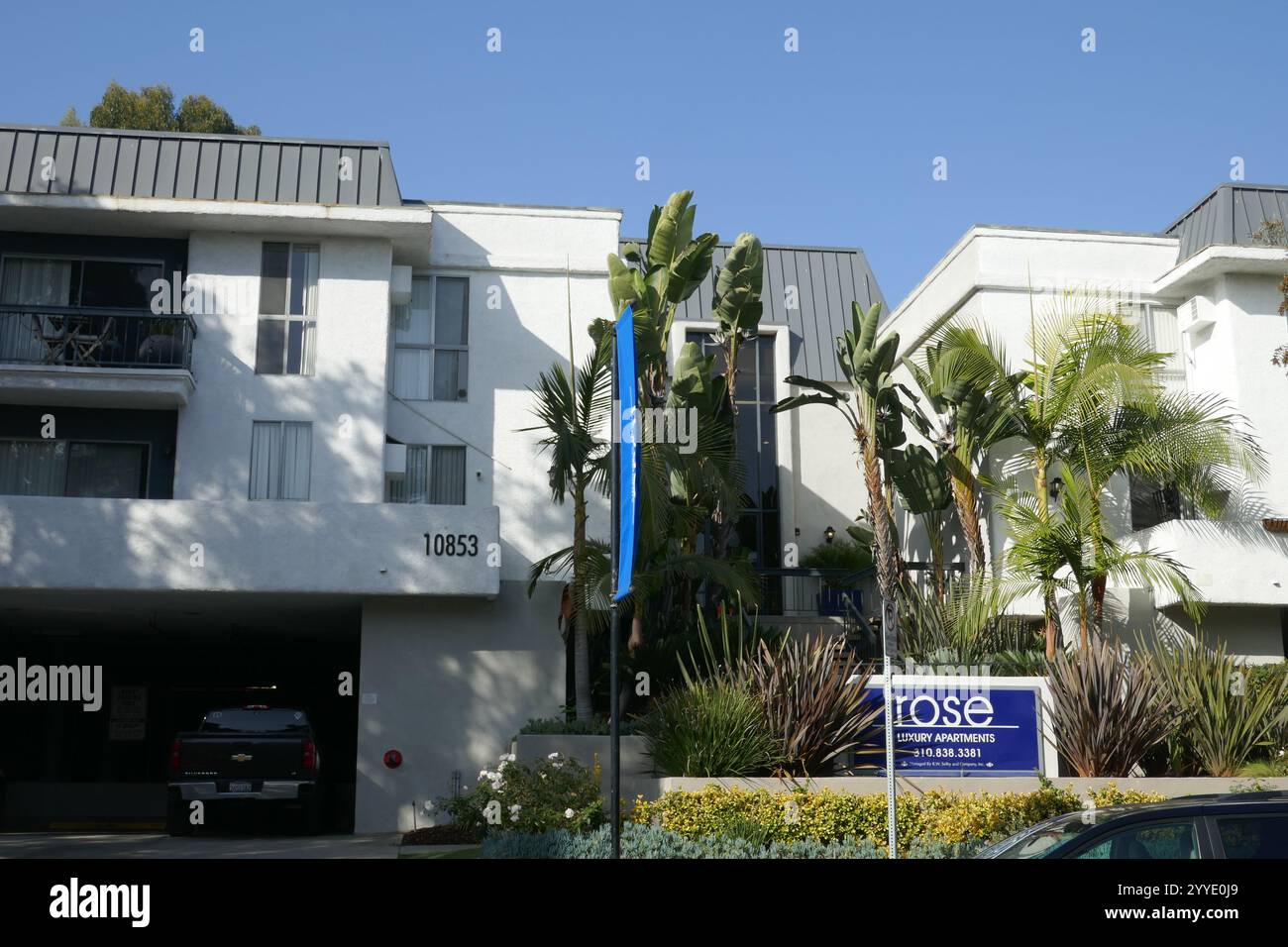 Los Angeles, California, USA 20th December 2024 Voice Actress Mary Kay ...