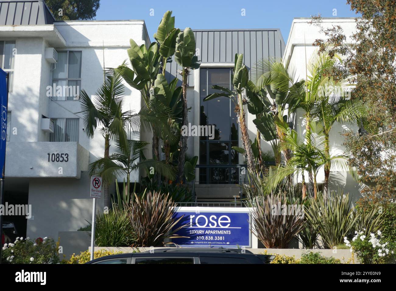 Los Angeles, California, USA 20th December 2024 Voice Actress Mary Kay ...