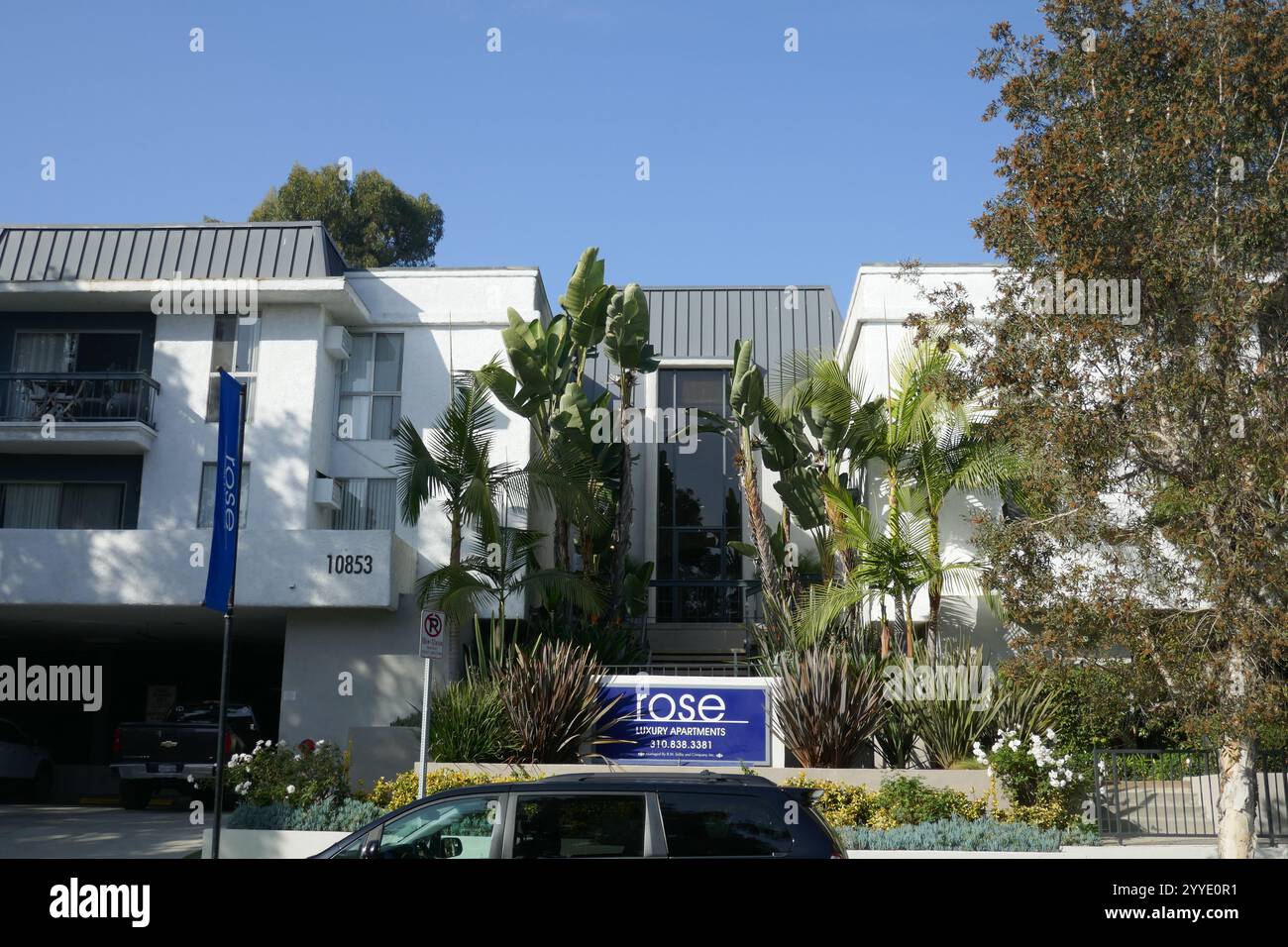 Los Angeles, California, USA 20th December 2024 Voice Actress Mary Kay ...