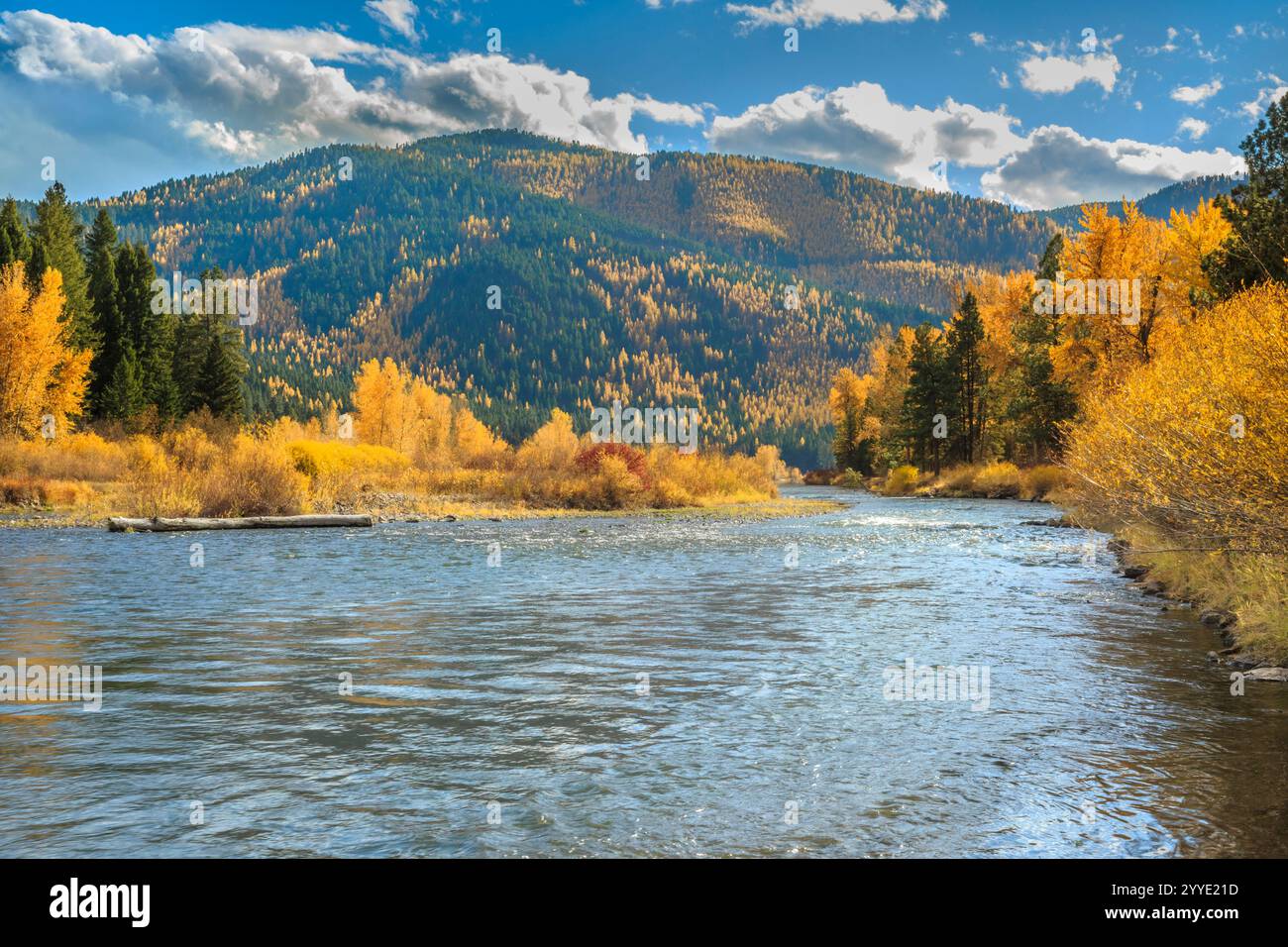 fall colors along the clark fork river at beavertail hill state park ...