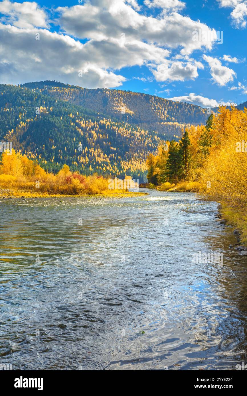 fall colors along the clark fork river at beavertail hill state park ...