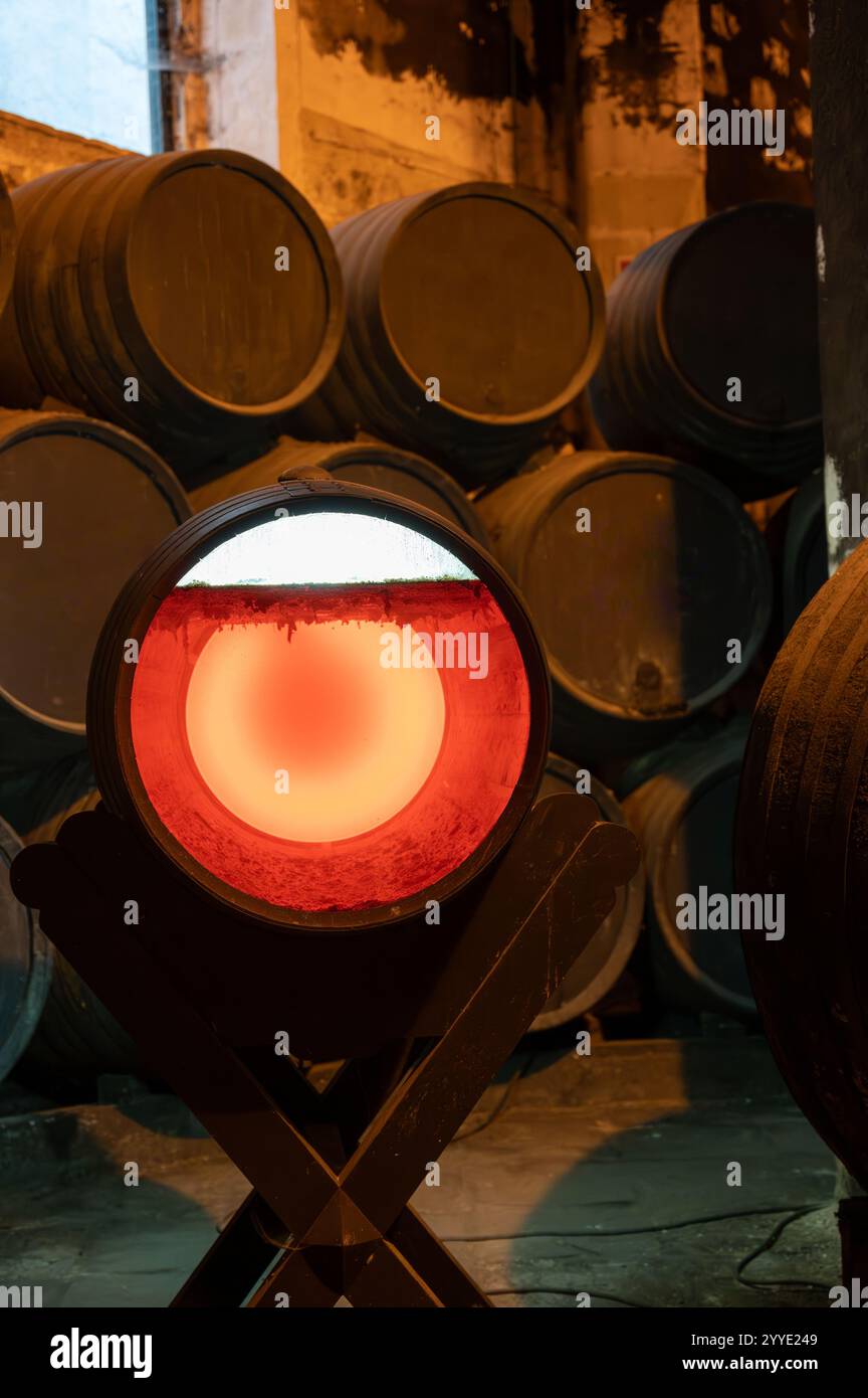 Flor, film of yeast in solera systems in old Andalusian wine cellar ...