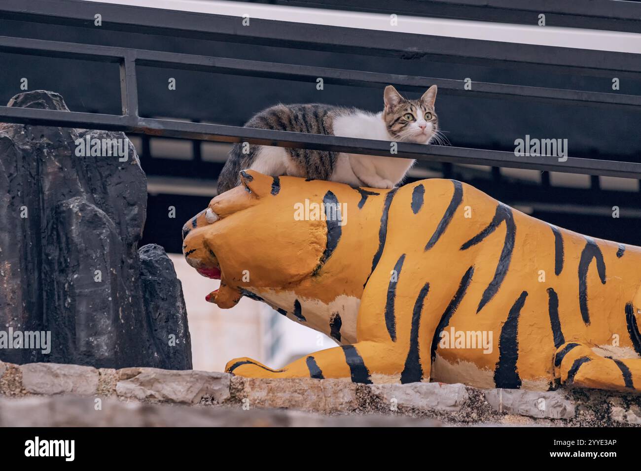 Cute cat resting on a metal railing above a colorful tiger statue Stock ...