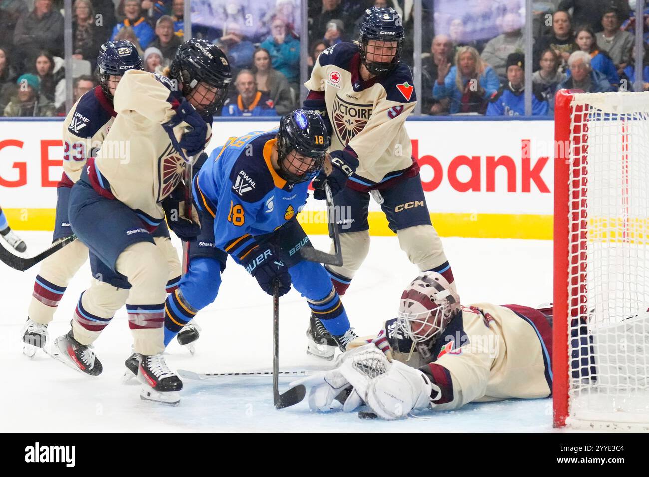 Toronto, Canada. 21st Dec, 2024. Montreal Victoire goaltender Elaine ...
