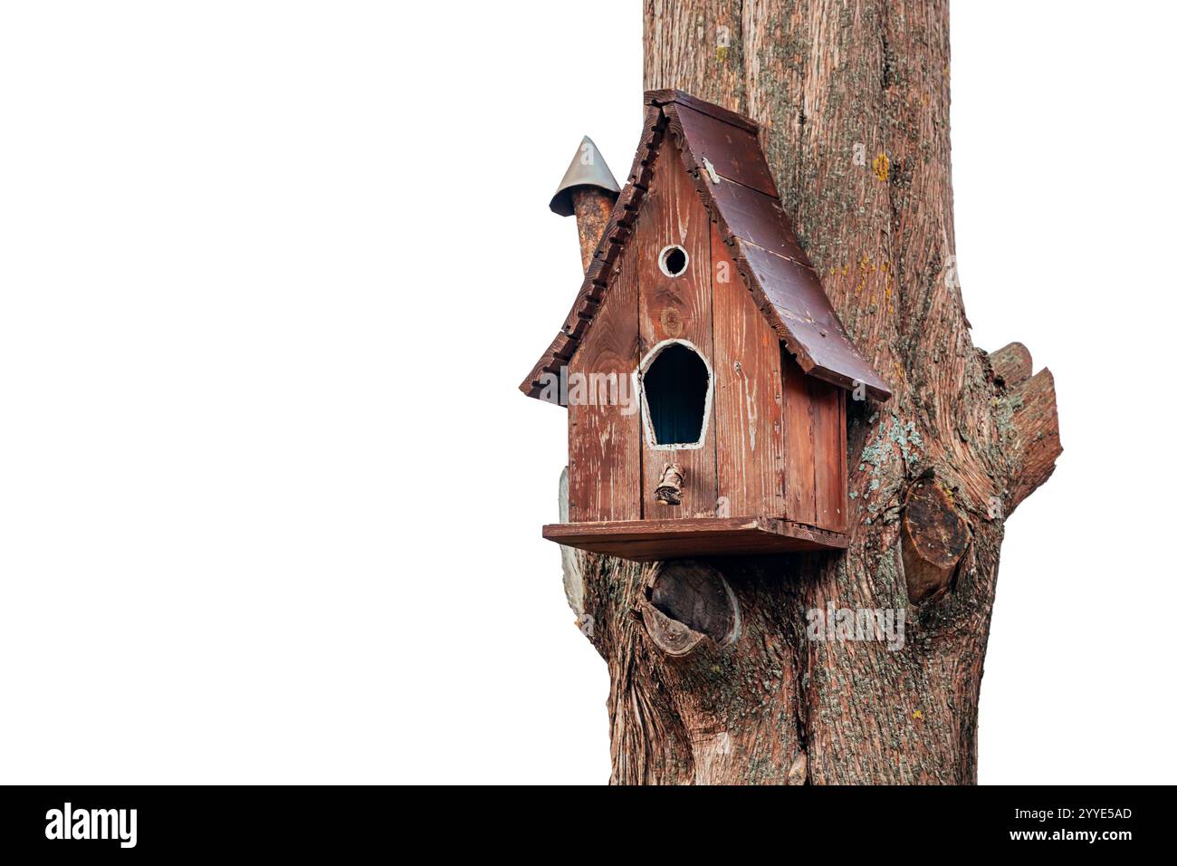 Charming birdhouse providing shelter for birds, promoting wildlife ...