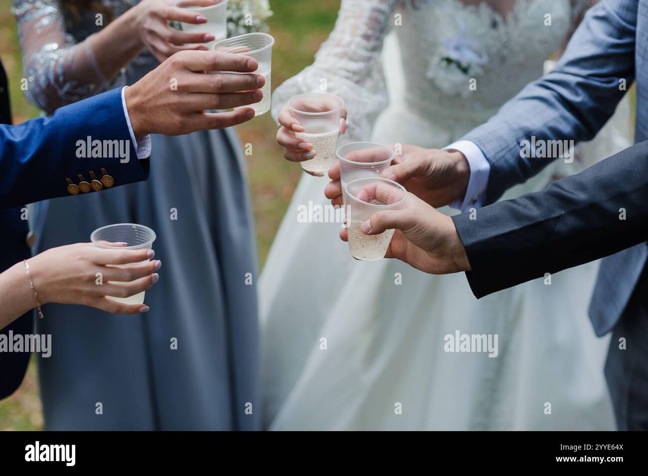 Celebratory Toast Among Friends at a Wedding Reception Stock Photo - Alamy