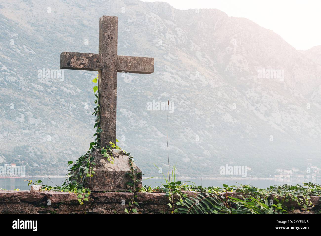 Weathered tombstone with a cross and climbing plants, set against a ...