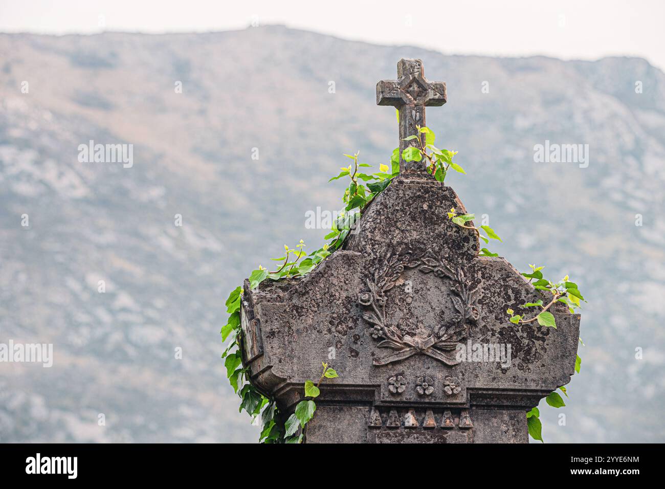 Weathered tombstone with a cross and climbing plants, set against a ...