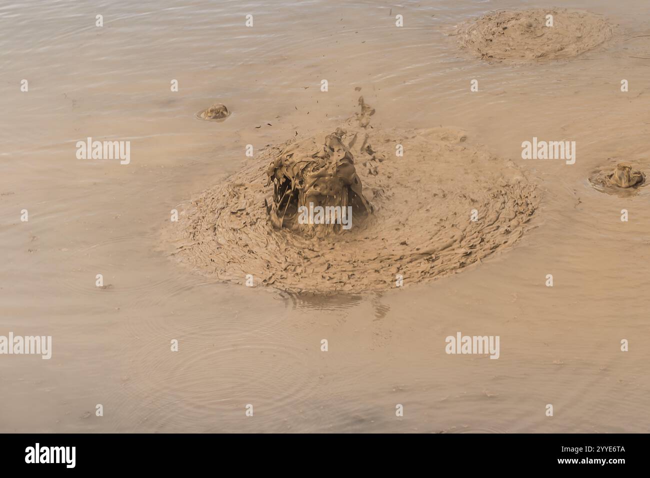 Thermal mud pools at Rotorua Stock Photo - Alamy