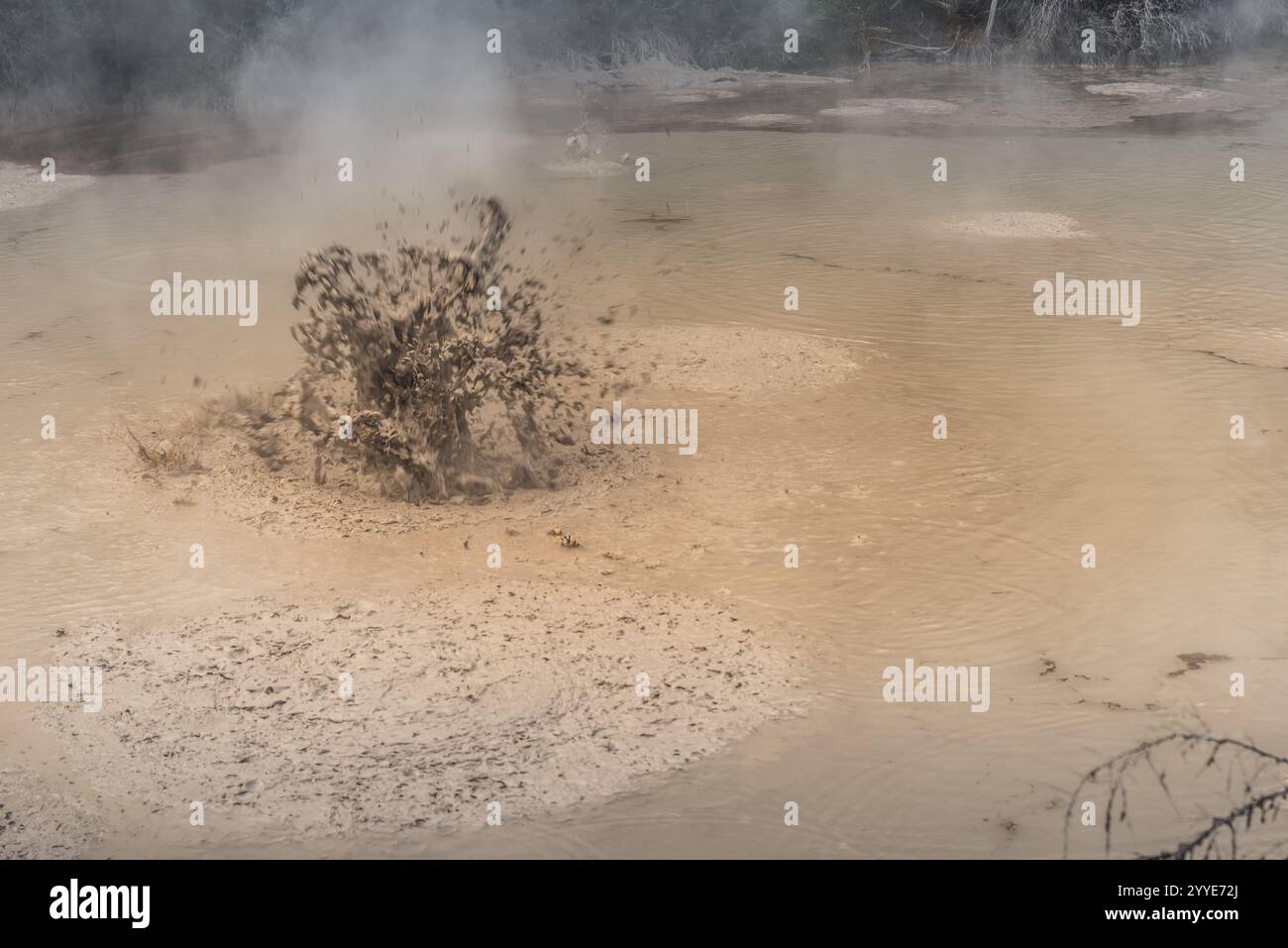 Thermal mud pools at Rotorua Stock Photo - Alamy