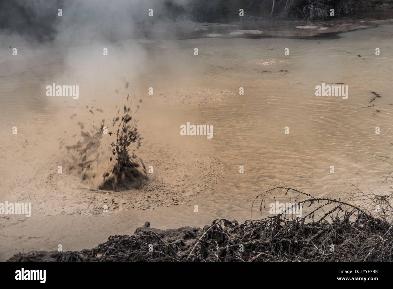 Thermal mud pools at Rotorua Stock Photo - Alamy