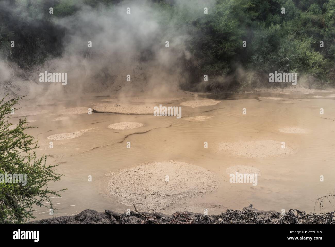Thermal mud pools at Rotorua Stock Photo - Alamy