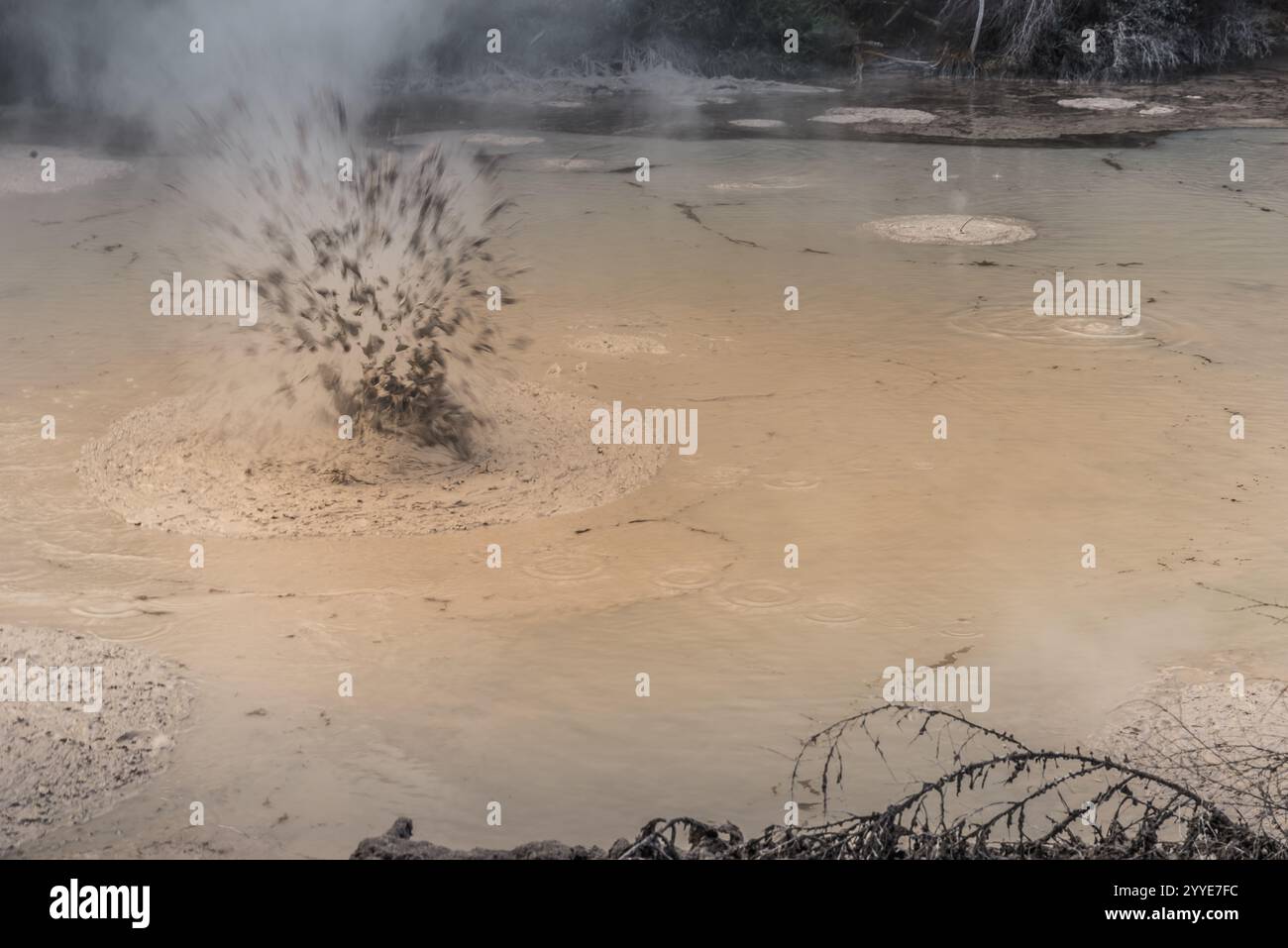 Thermal mud pools at Rotorua Stock Photo - Alamy
