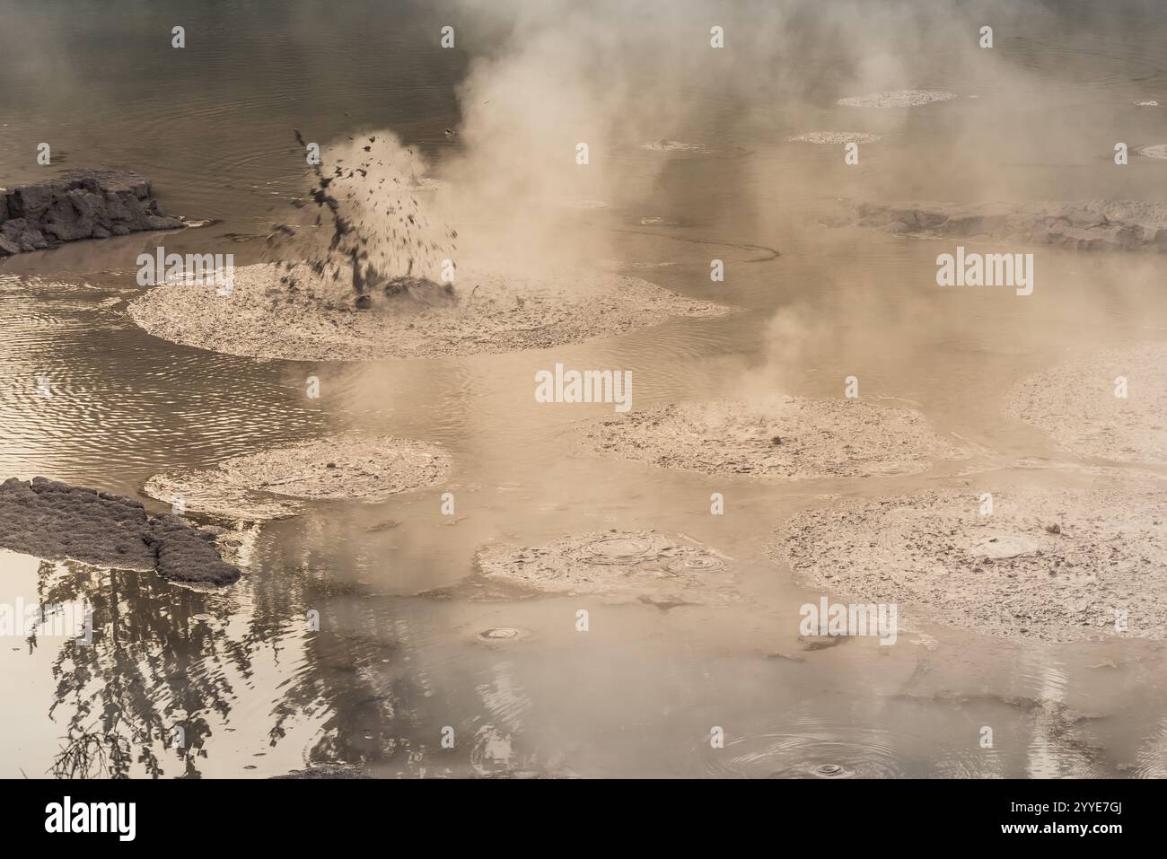 Thermal mud pools at Rotorua Stock Photo - Alamy