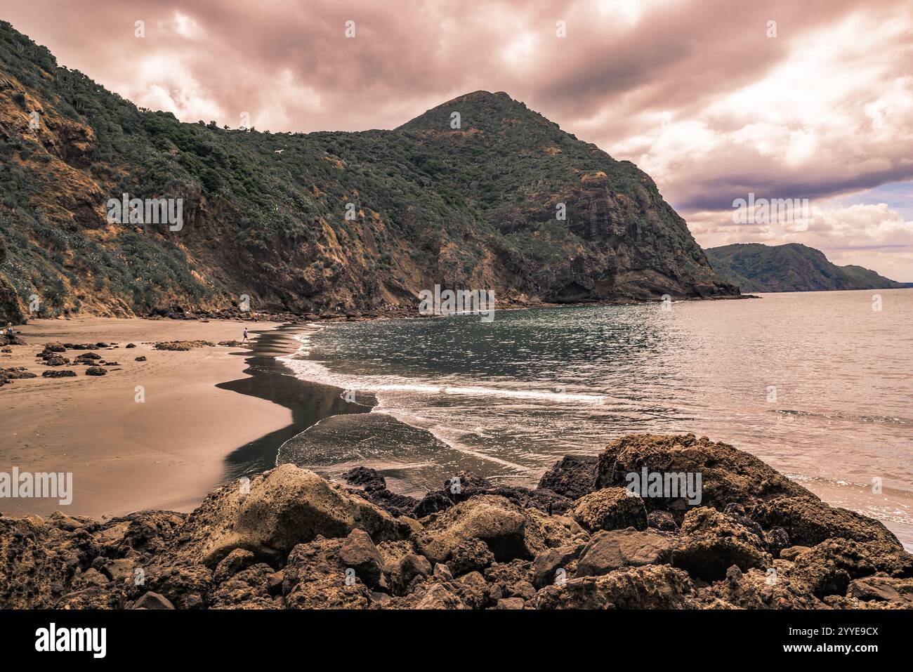Auckland West Coast beach Stock Photo - Alamy