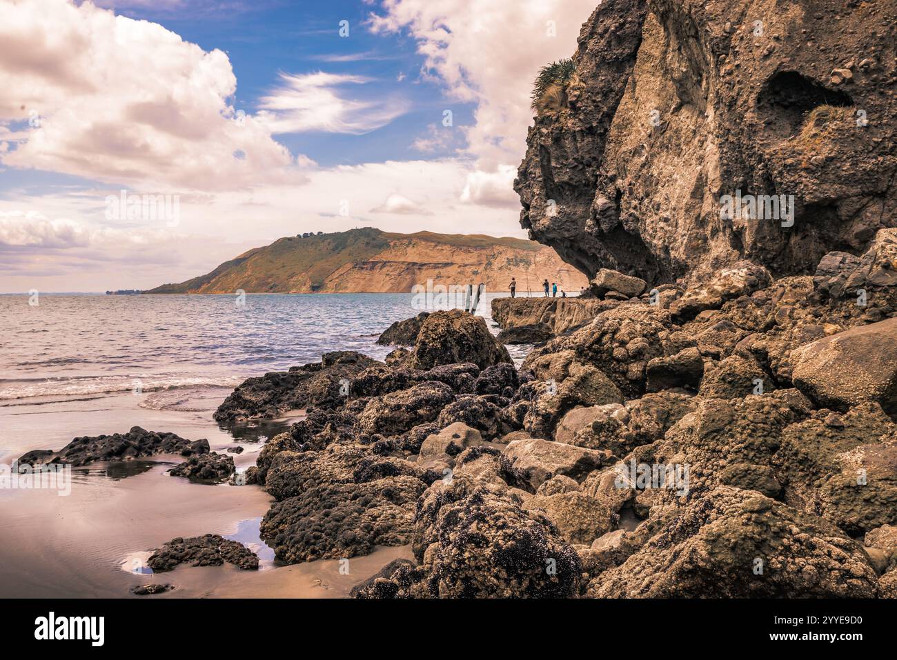 Auckland west coast hi-res stock photography and images - Alamy