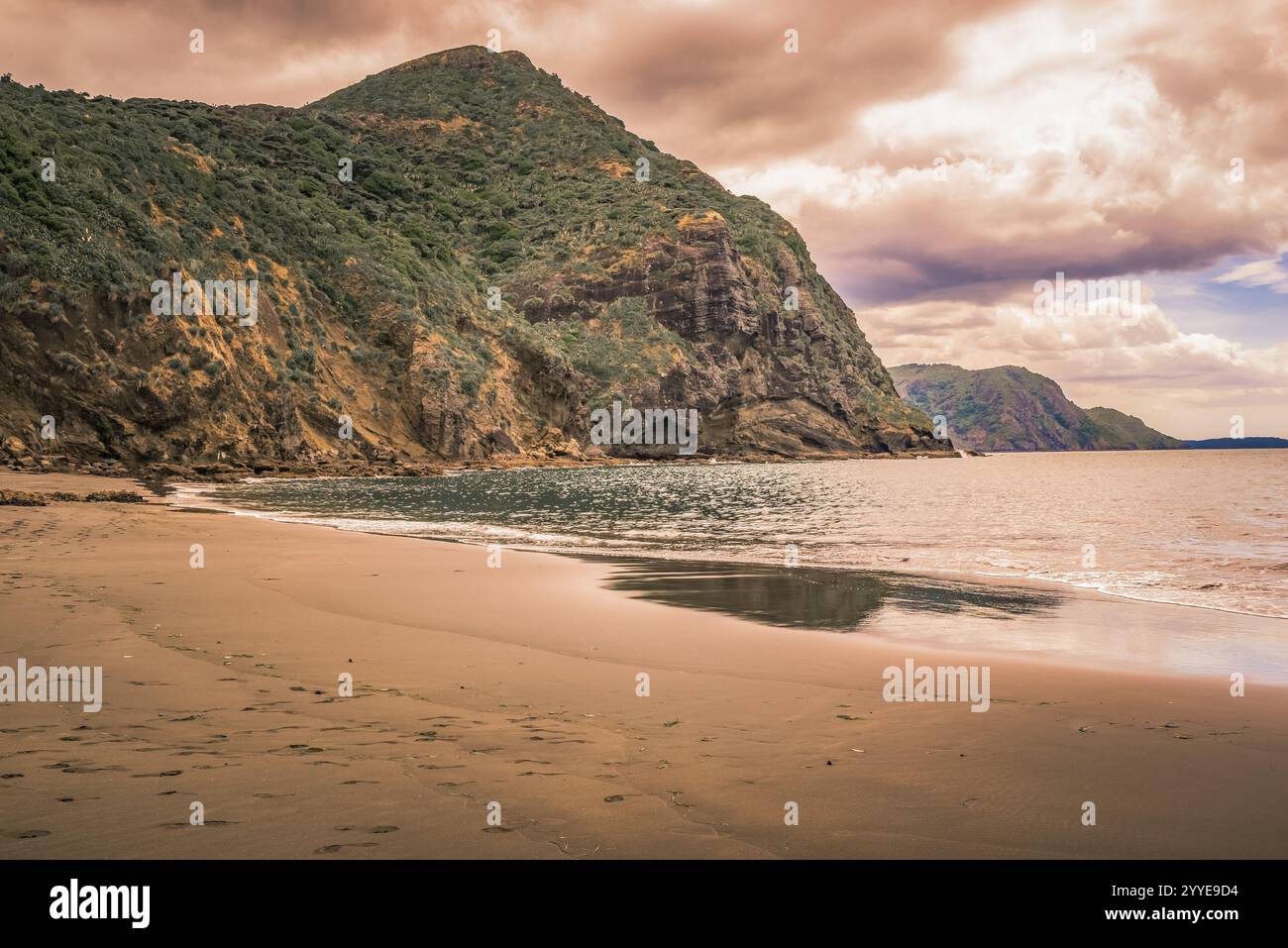 Auckland West Coast beach Stock Photo - Alamy