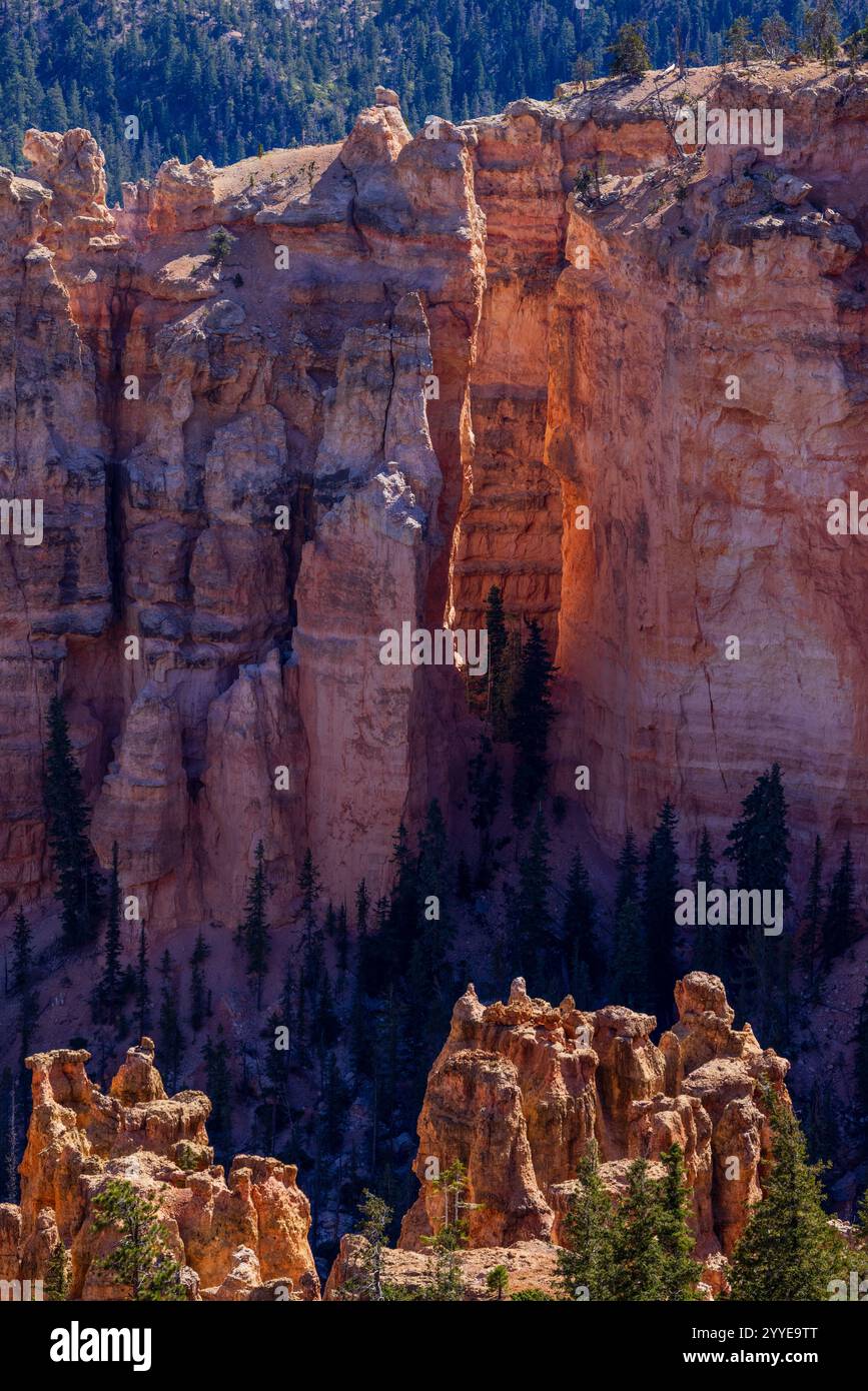 Forest trees contrast with the colorful sandstone formations. Bryce ...