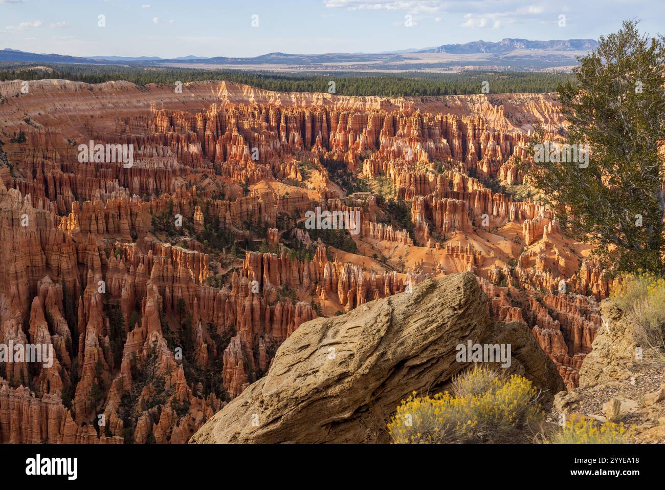 Bryce Point gives an expansive view of the Bryce Canyon National Park, Utah Stock Photo - Alamy