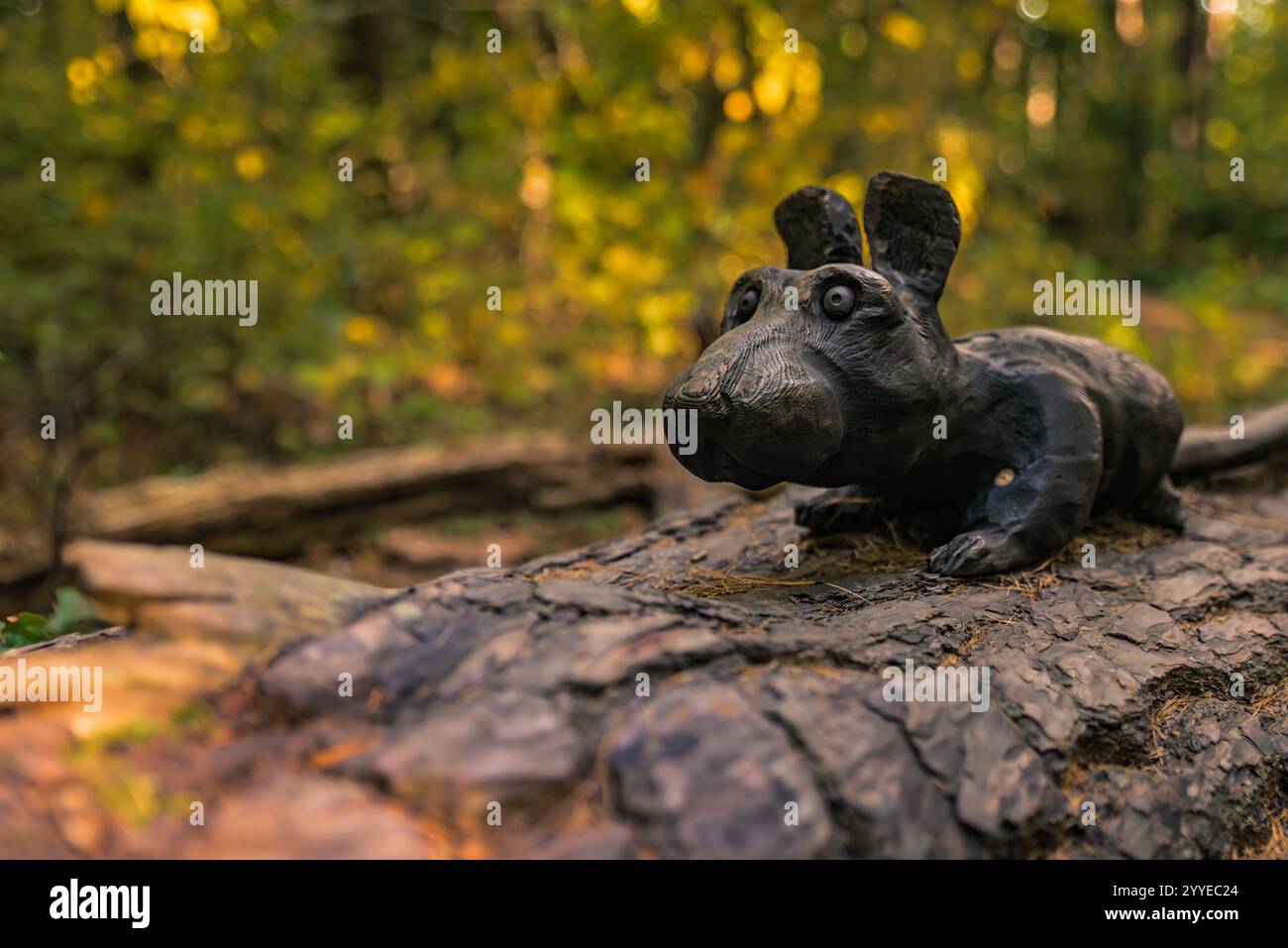 Hanmer forest hi-res stock photography and images - Alamy