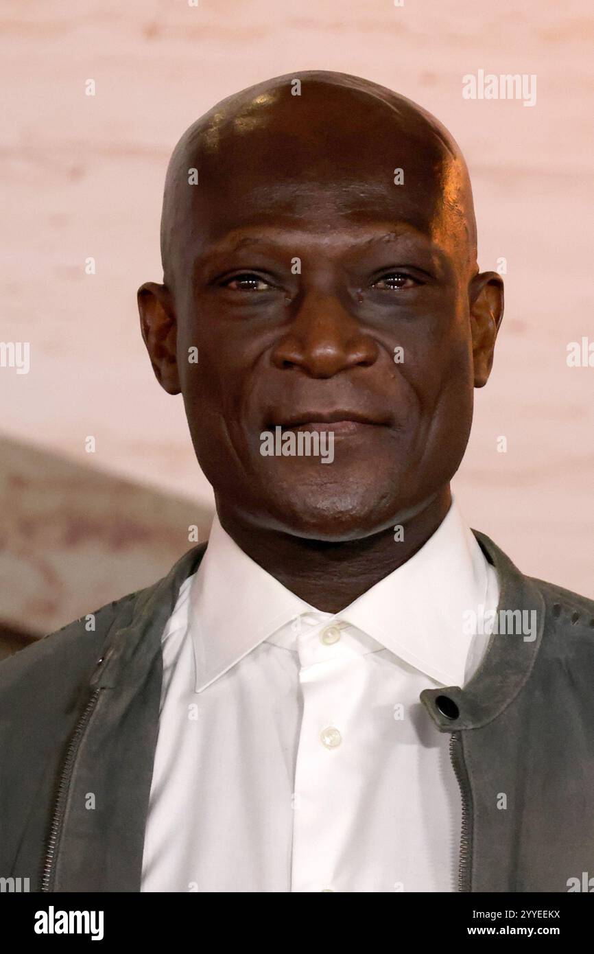 Gladiator II Los Angeles Premiere at TCL Chinese Theater IMAX on ...