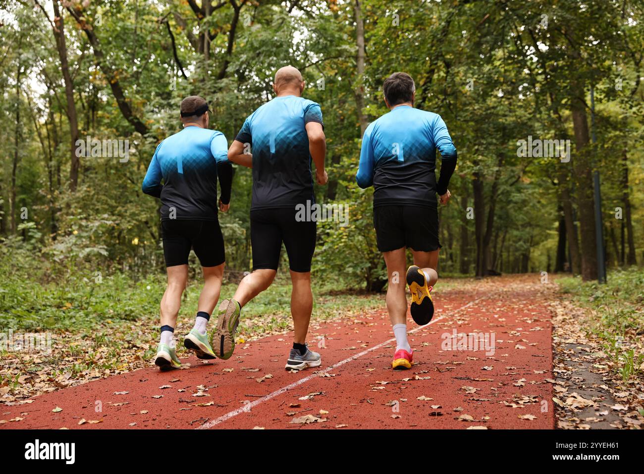 Group of athletic people running in park, back view Stock Photo - Alamy