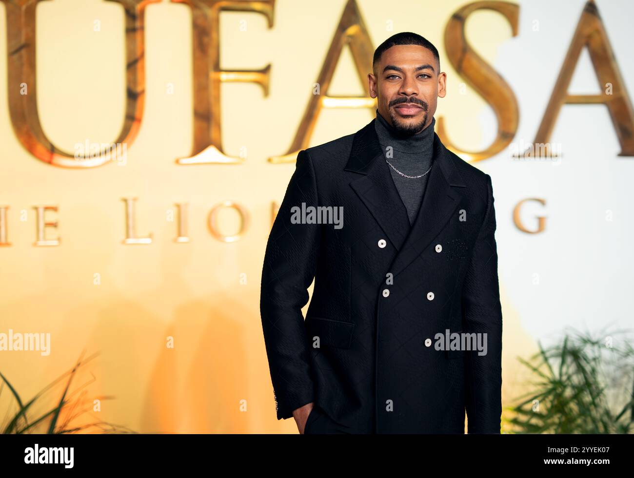 Aaron pierre mufasa lion hi-res stock photography and images - Alamy