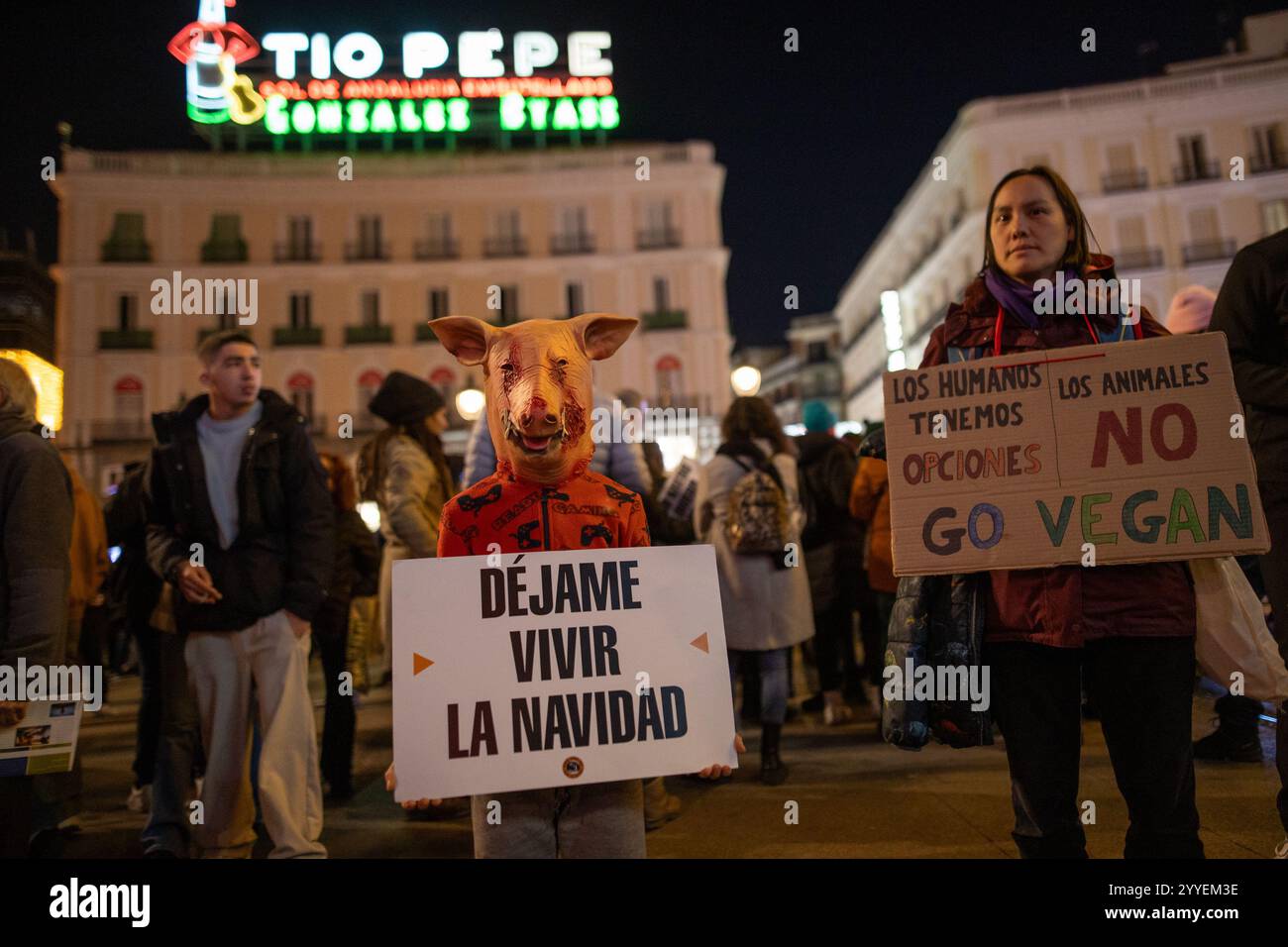 Madrid, Spain. 21st Dec, 2024. Activists wearing animal masks hold ...