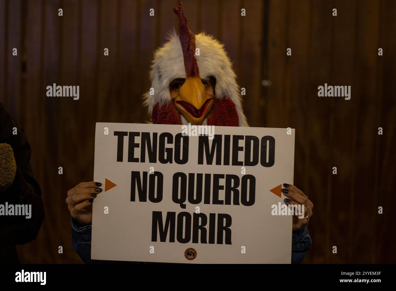 Madrid, Spain. 21st Dec, 2024. An activist wearing an animal mask holds ...