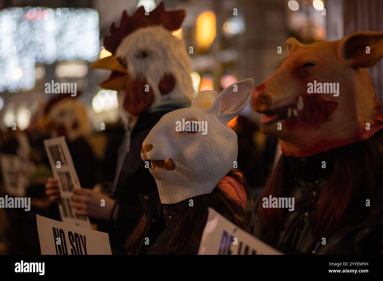 Madrid, Spain. 21st Dec, 2024. Activists wearing animal masks hold ...