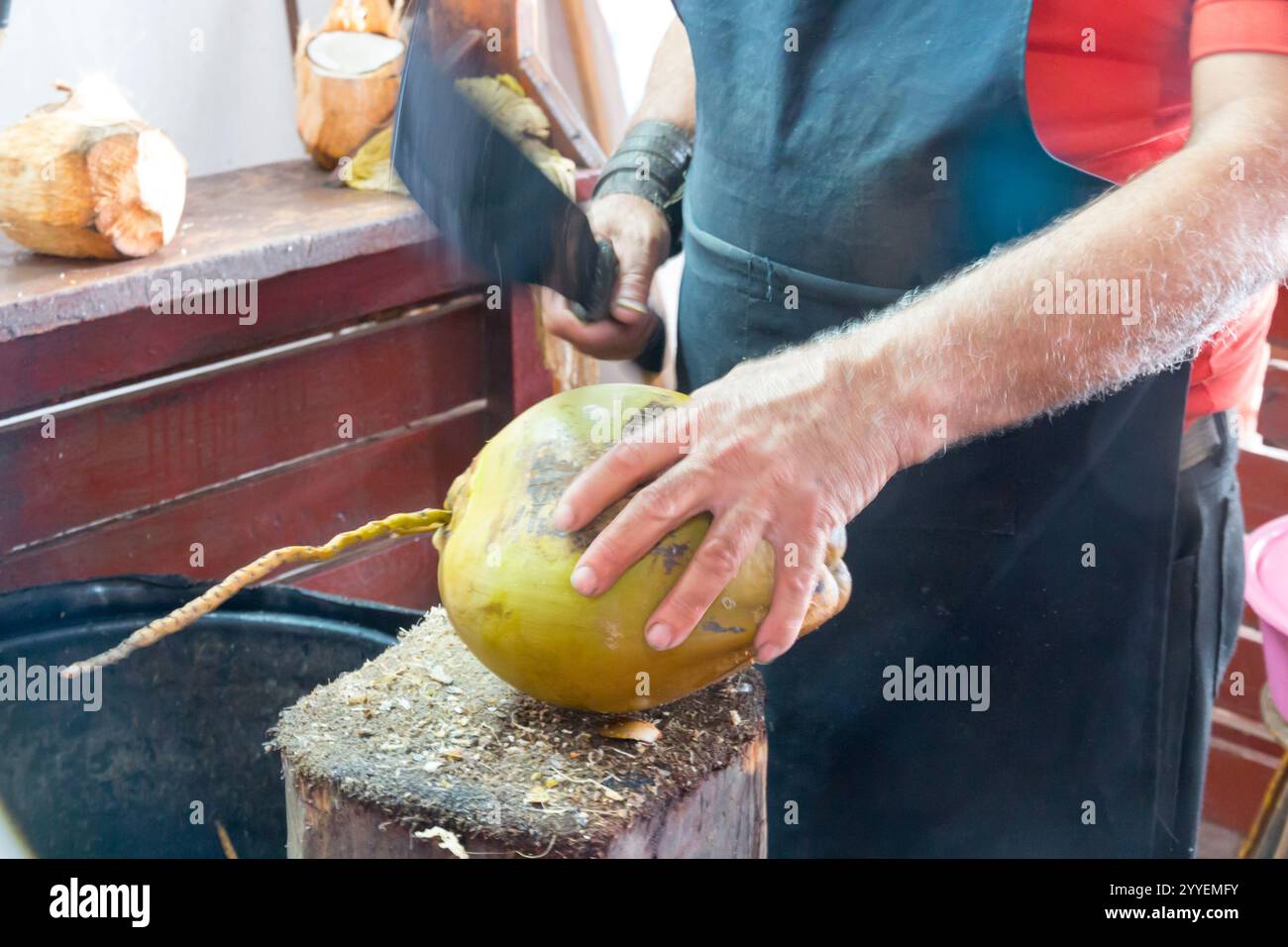Cuba, Havana. Large knife, cleaver cutting open a coconut. 2016-03-25 ...