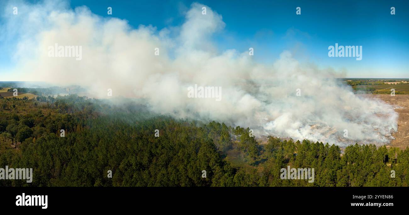 Aerial view of white smoke from forest fire rising up polluting ...