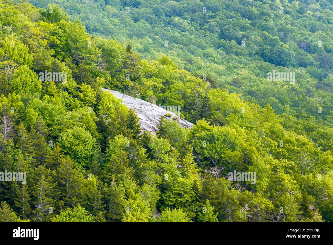 Beautiful nature of Beacon Heights rocks in North Carolina Appalachian ...