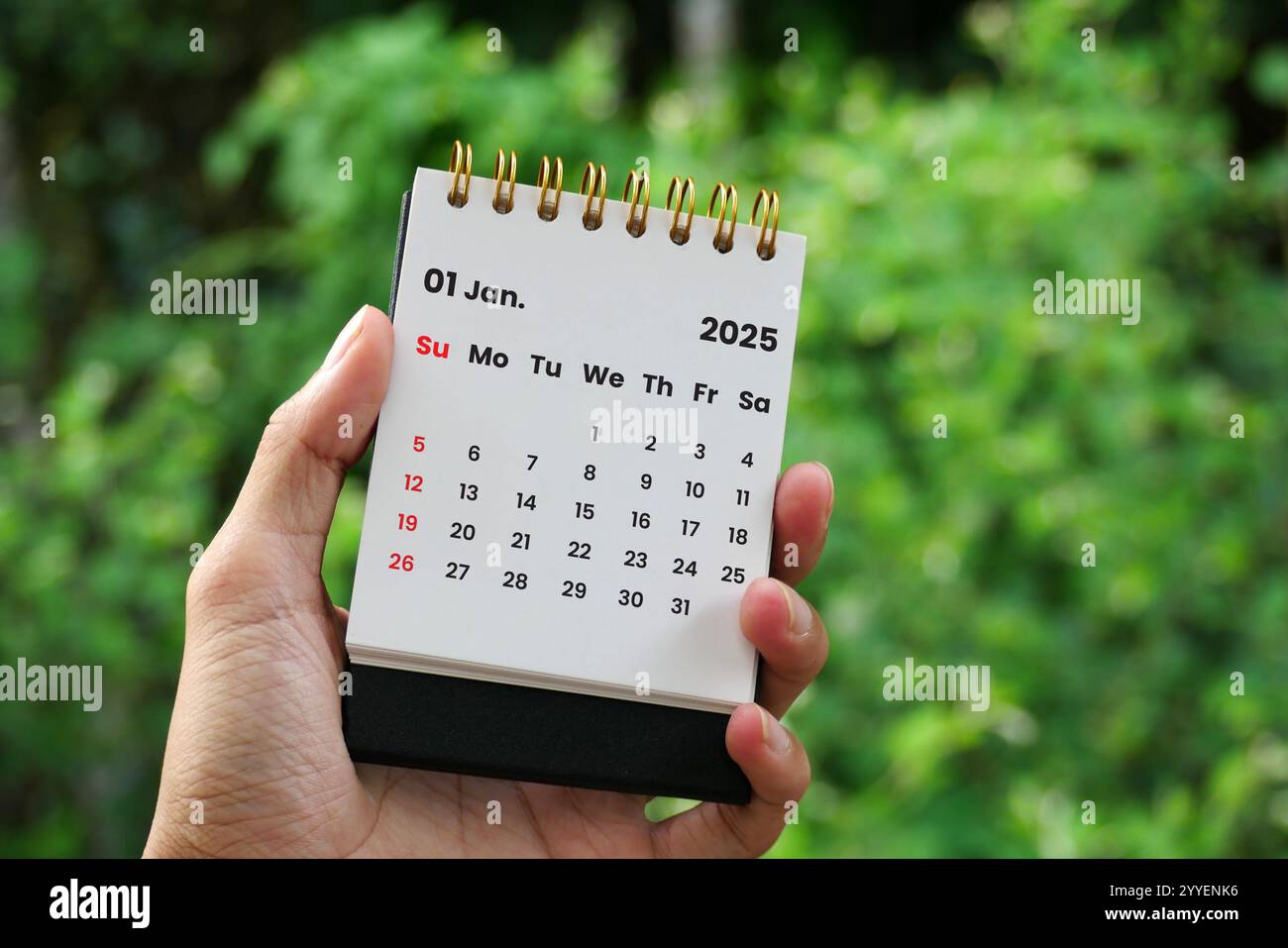 A desk calendar for January 2025 on a hand Stock Photo - Alamy