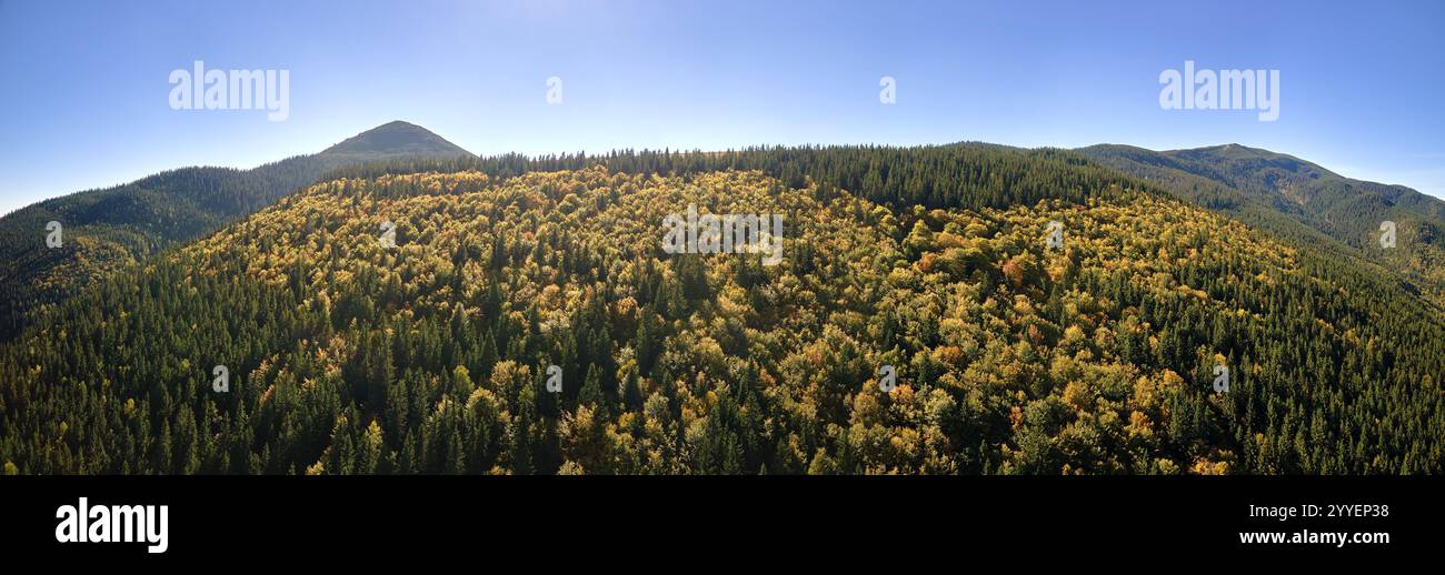 High hills with dark pine woods on autumn bright day. Amazing scenery ...