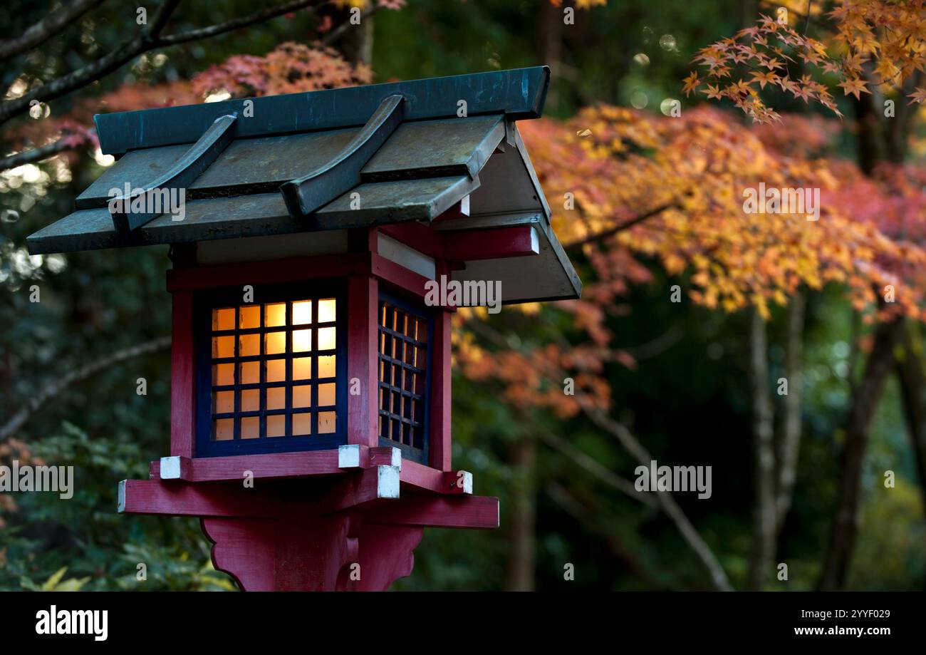 Glowing lanterns against background of colorful momiji maple trees ...