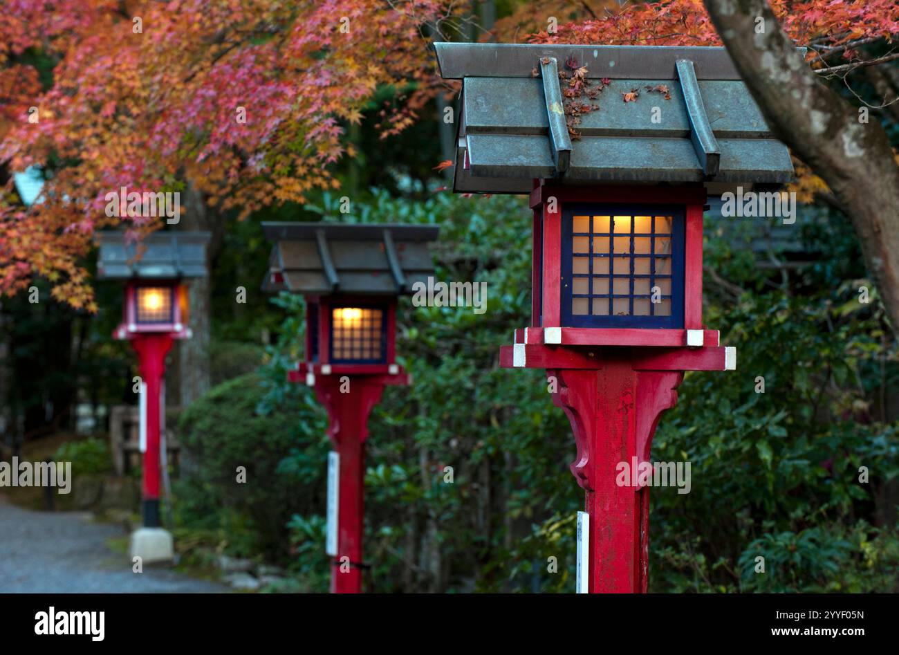 Glowing lanterns against background of colorful momiji maple trees ...