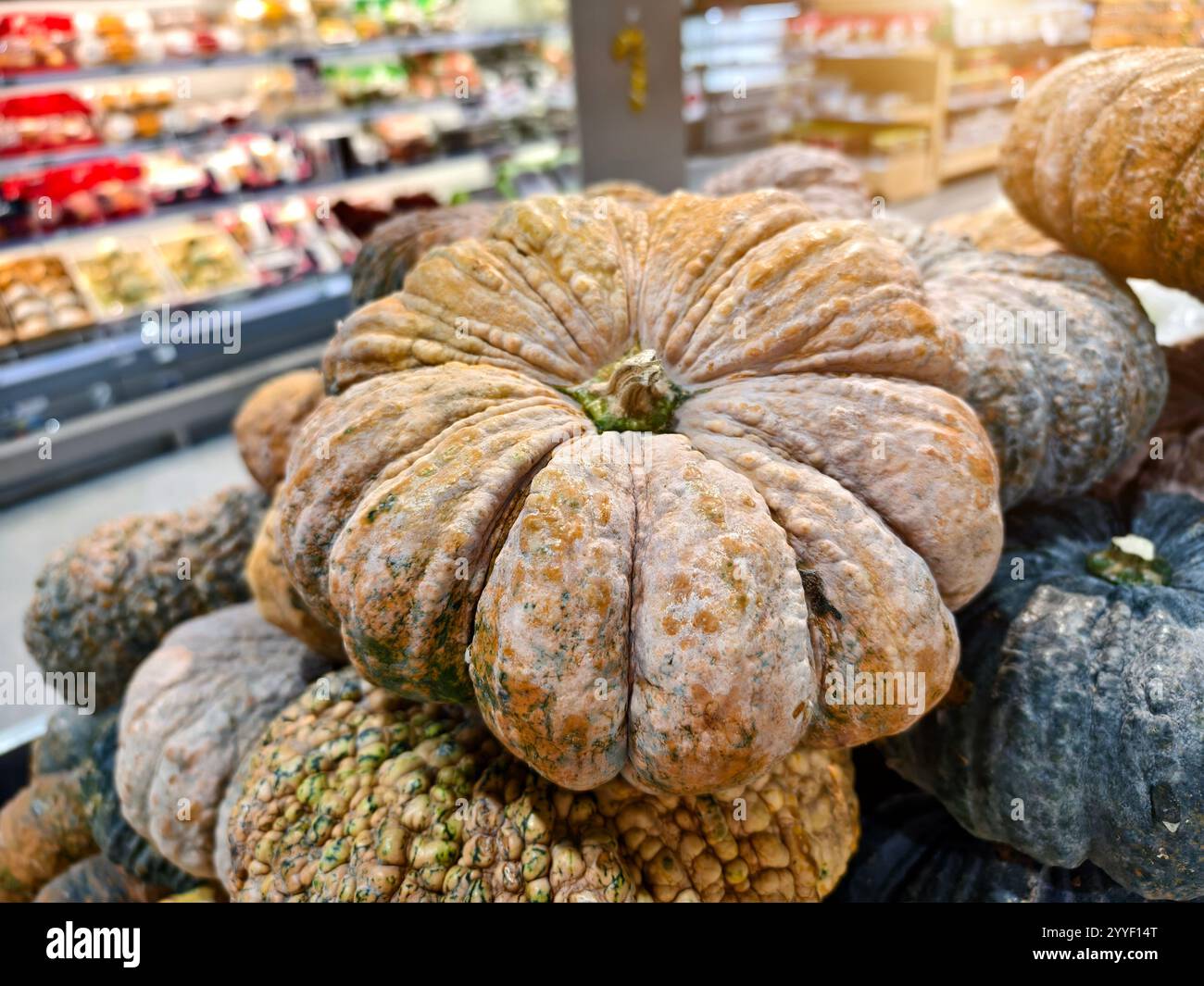 Various types of pumpkins are stacked on top of each other Stock Photo ...