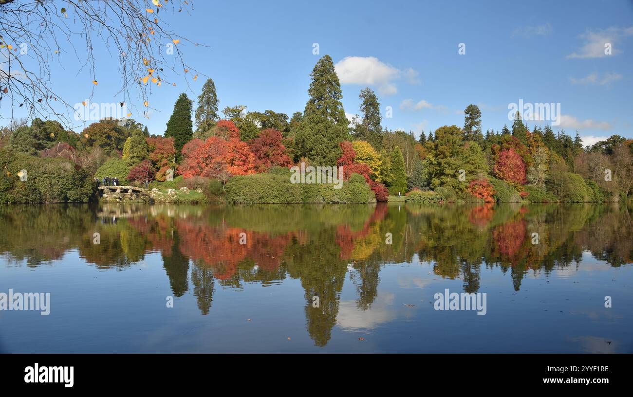 Autumn woodland trees reflecting on water Stock Photo - Alamy
