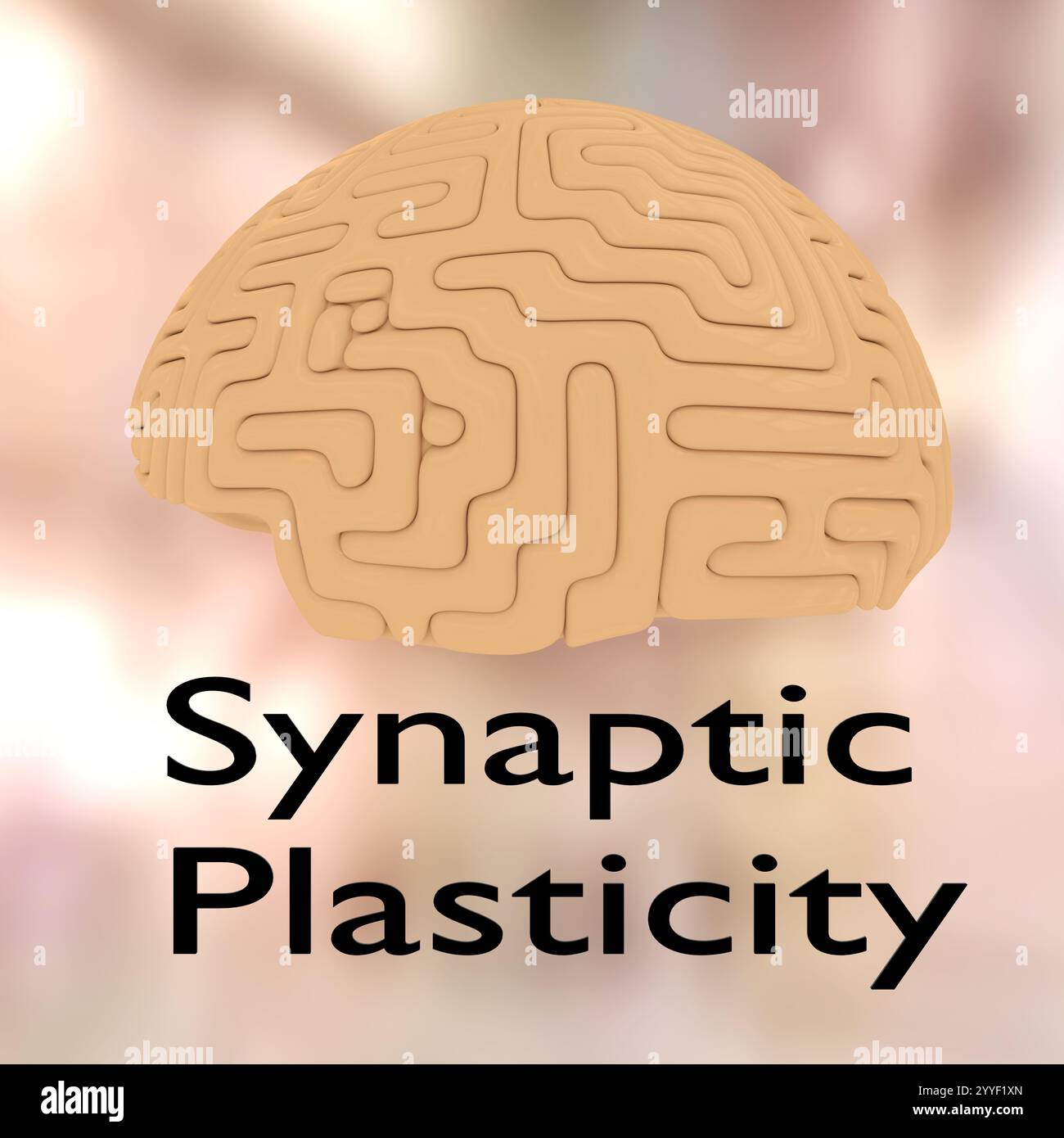 Exploring neural pathways hi-res stock photography and images - Alamy