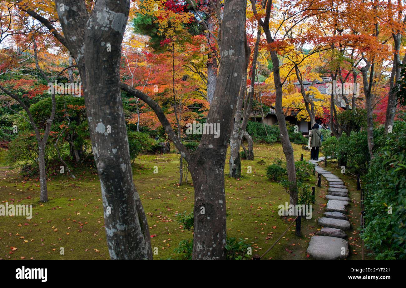 Japanese landscape garden during autumn foliage, fall colors season at Okochi Sanso Villa ...
