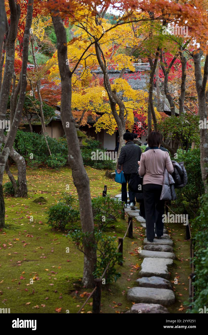 Japanese landscape garden during autumn foliage, fall colors season at ...